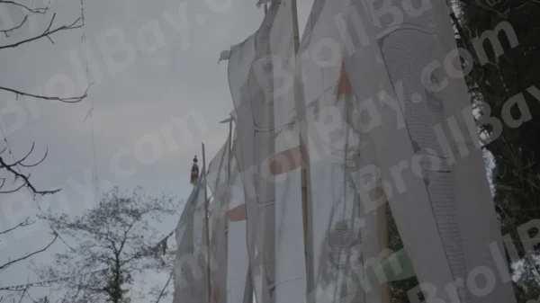 Prayer Flags - Log, colour and B&W - B-Roll Bay